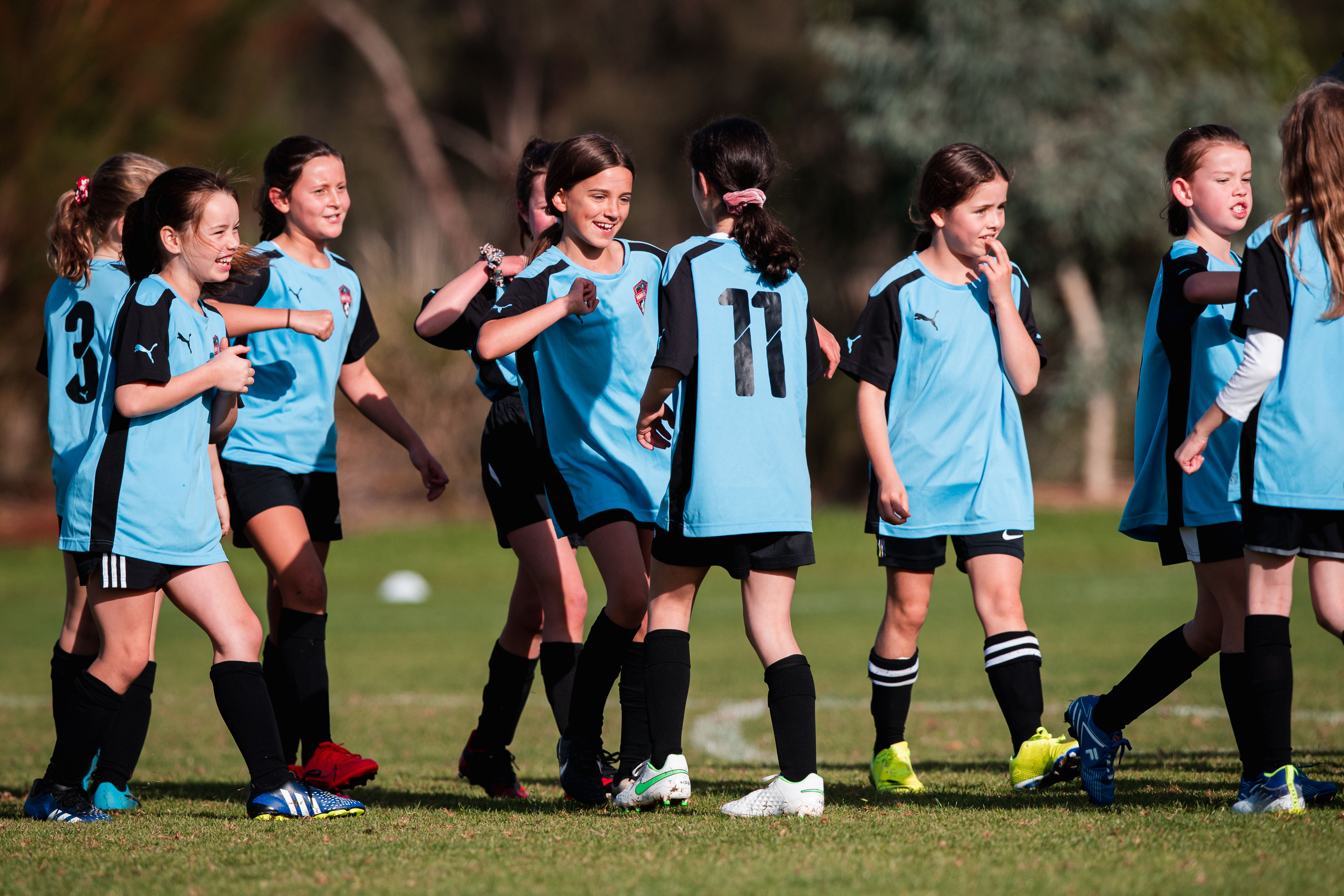 Project overview | Football Victoria